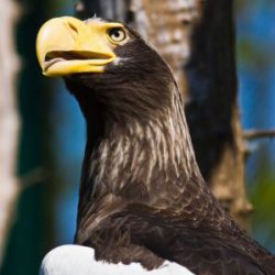 Familienausflug zum Wildpark Poing - Around About Munich