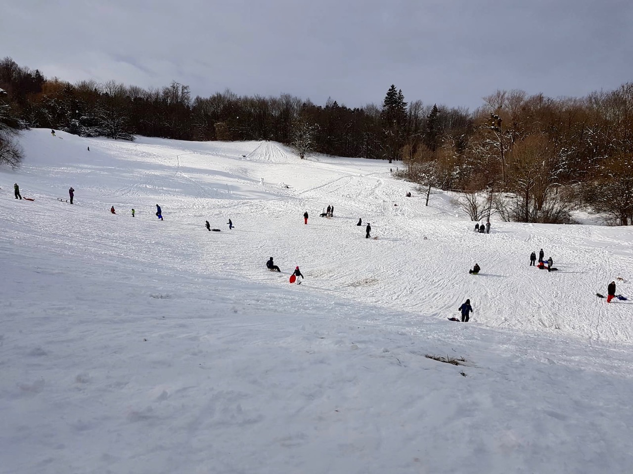 Die Aubinger Lohe - Rodelspaß für Groß und Klein - Around About Munich