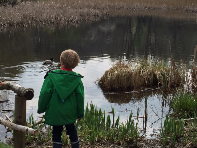 Stadtnaher Spaziergang in der Aubinger Lohe - Around About Munich