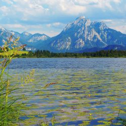 Familienwanderung um den Hopfensee - Around About Munich